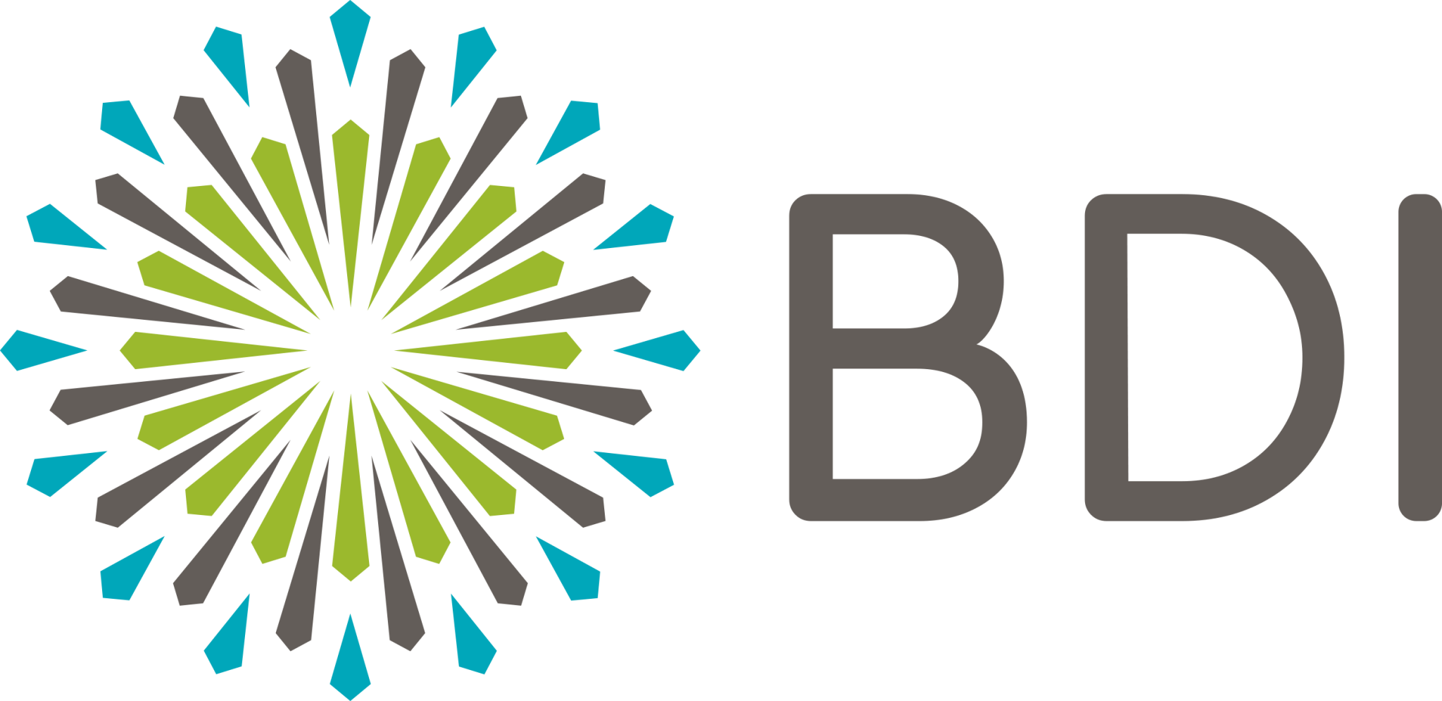 Work Incentives Planning and Assistance (WIPA) - BDI